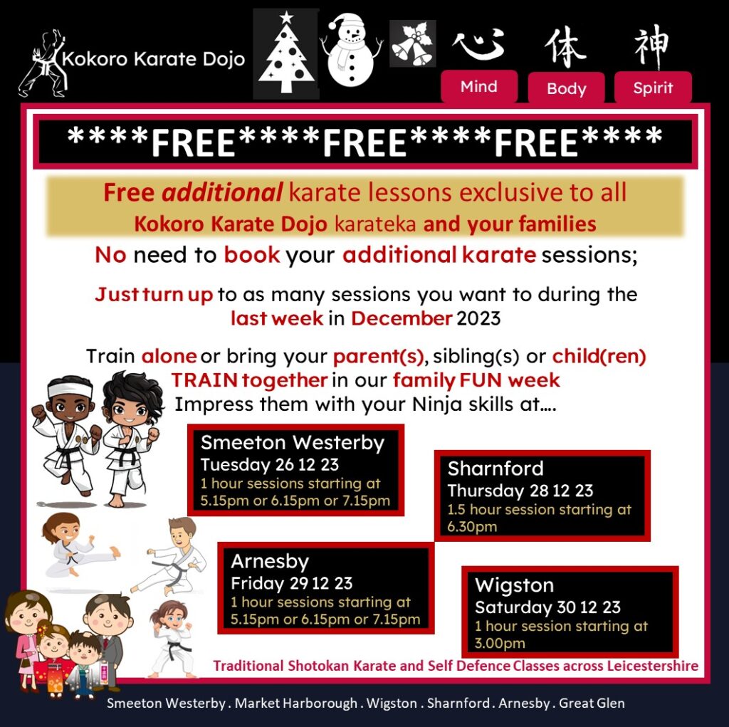 Free Karate Lessons wc 25 12 2023 - Kokoro Karate Dojo